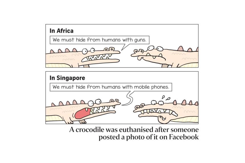 A Cartoonist’s View: Lee Chee Chew, Oct 15, 2023 | The Straits Times