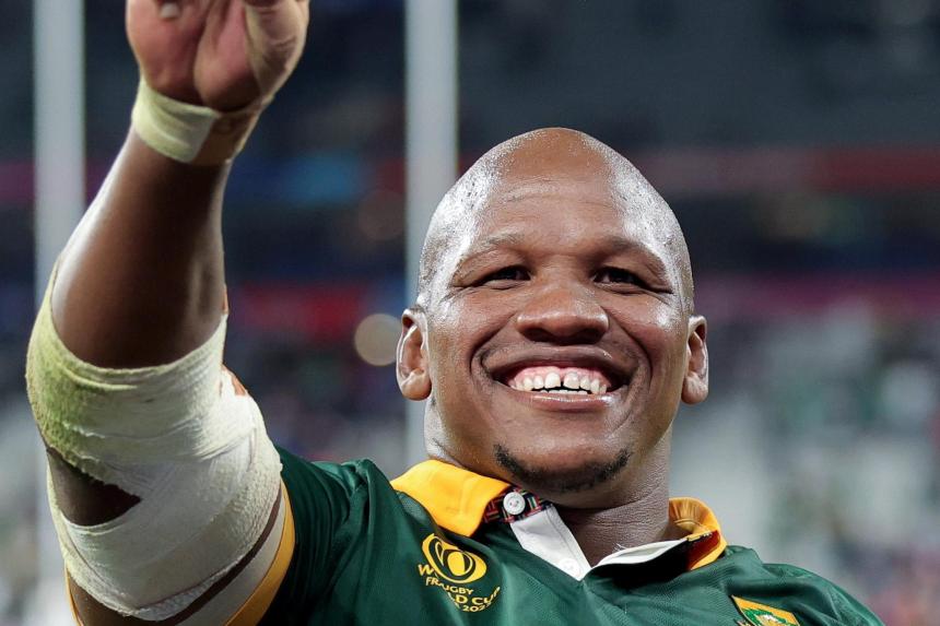 French ‘welcome’ to support Springboks as thoughts turn to England ...