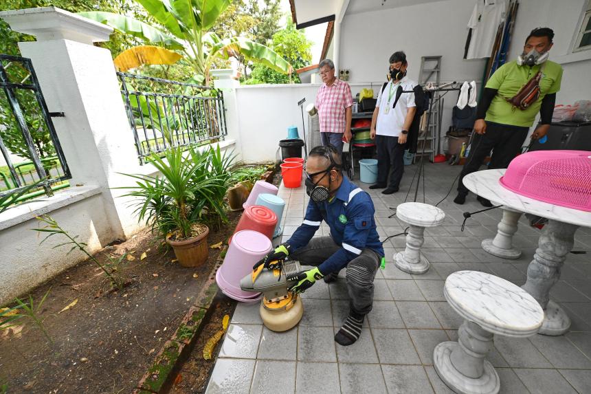 Warmer weather towards year-end could worsen dengue situation: NEA ...