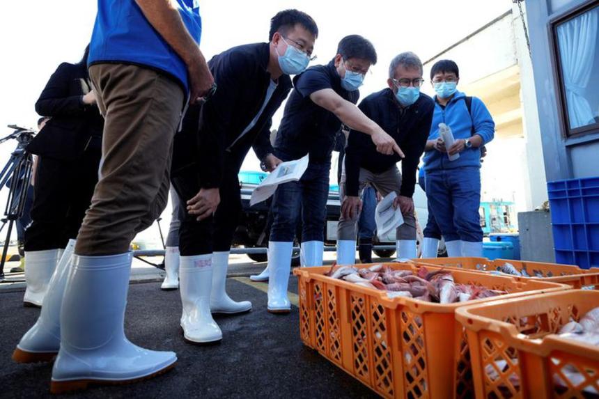 Scientists test Fukushima fish after nuclear plant water release | The ...