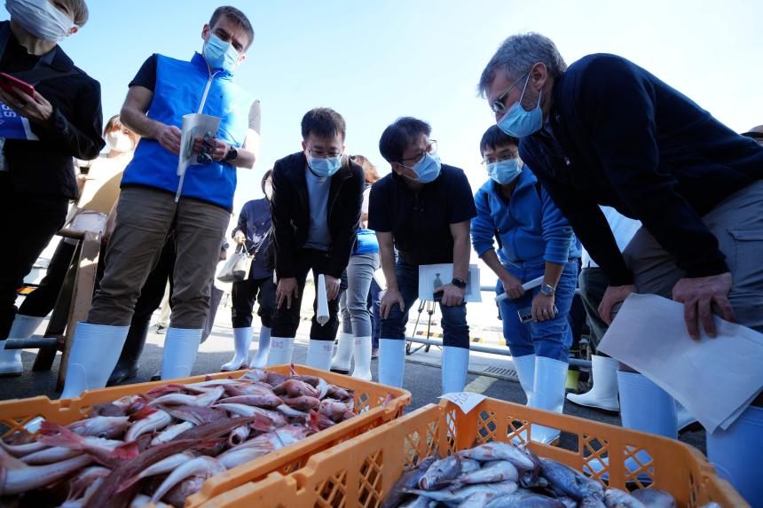 UN inspectors test Fukushima fish after wastewater release in August ...