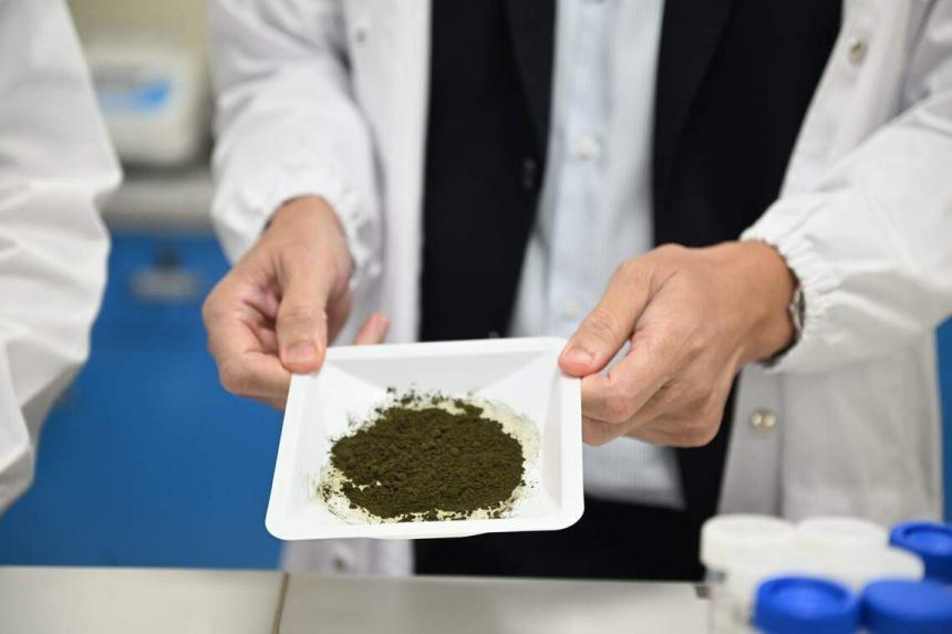 NTU’s microalgae oil to be produced in bulk by S’pore firm eyeing ...