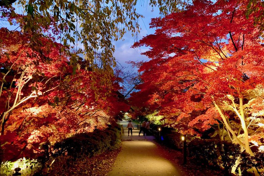 Aomori: Apple juice as thick as milkshake, best autumn colours in Japan ...
