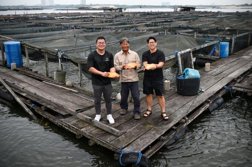 Raising standards of coastal fish farms in S’pore with tilapia, the ‘chicken of the sea’ | The ...