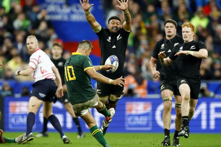 Springbok belief and physicality make for world beating mix | The ...