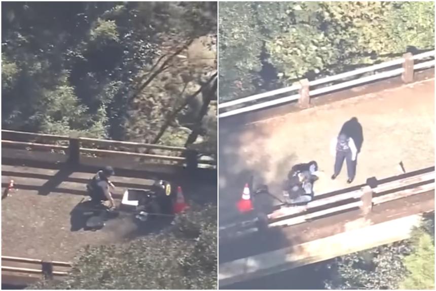 Woman in Japan falls 40m to death from bridge while filming wild deer ...