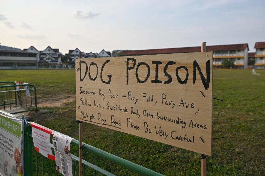 Investigations ongoing into dog deaths at field in Kovan | The Straits ...