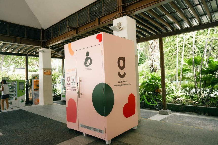 Starting a start-up: From ‘wardrobes’ in Sungei Kadut to breastfeeding ...