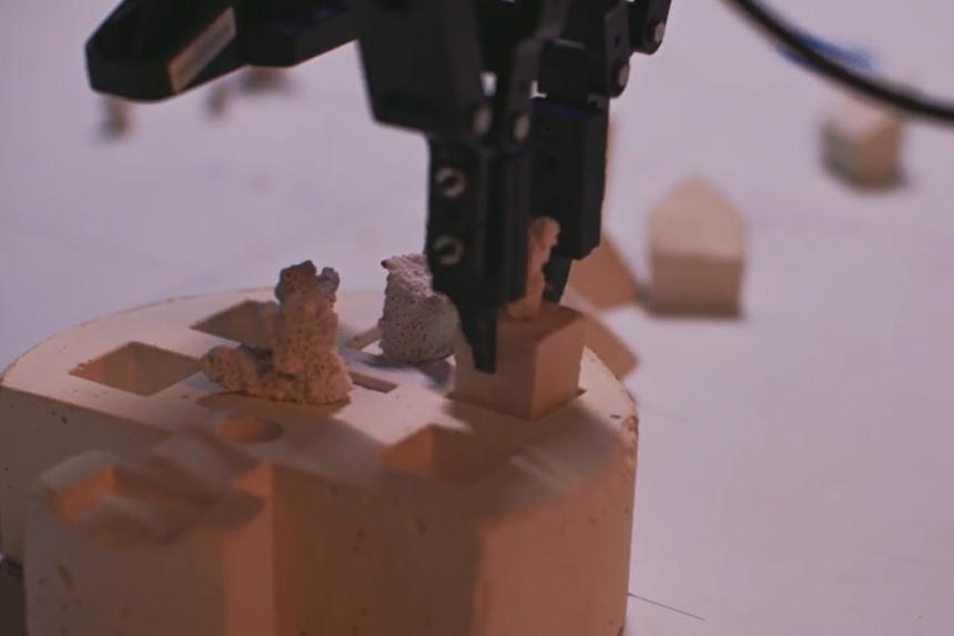 AI could give coral a fighting chance in rapidly warming oceans | The ...