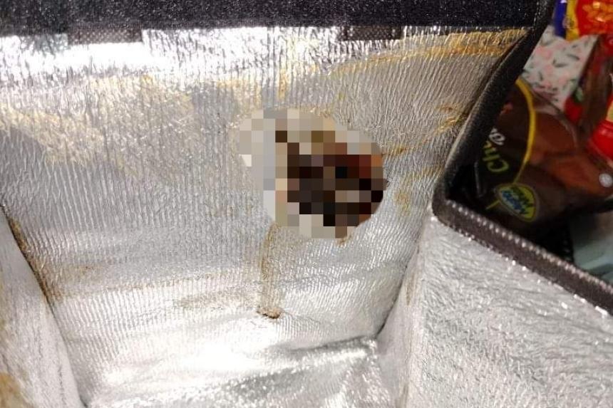 Squashed rat found in food delivery bag with brownies; SFA ...