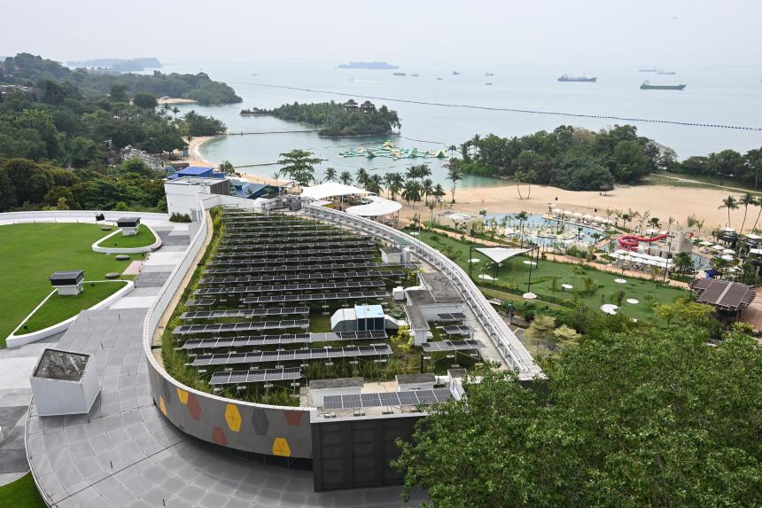 ‘Solar pavements’ to be installed in Sentosa amid decarbonisation push ...