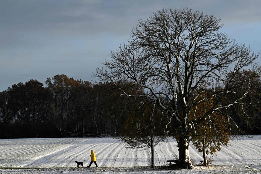 Today in Pictures, Nov 27, 2023 | The Straits Times