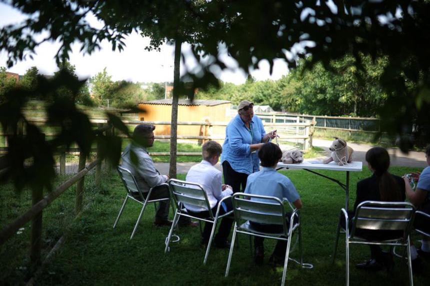 Urban school farm opens world of opportunity to British teens | The ...