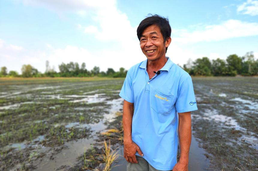 Fewer seeds, less pesticide: Vietnam farmers work hard for greener rice ...