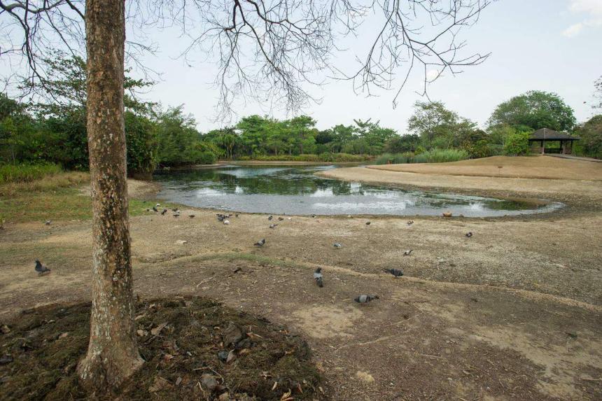 Extreme rainfall, dry spells and stronger winds: How climate change ...