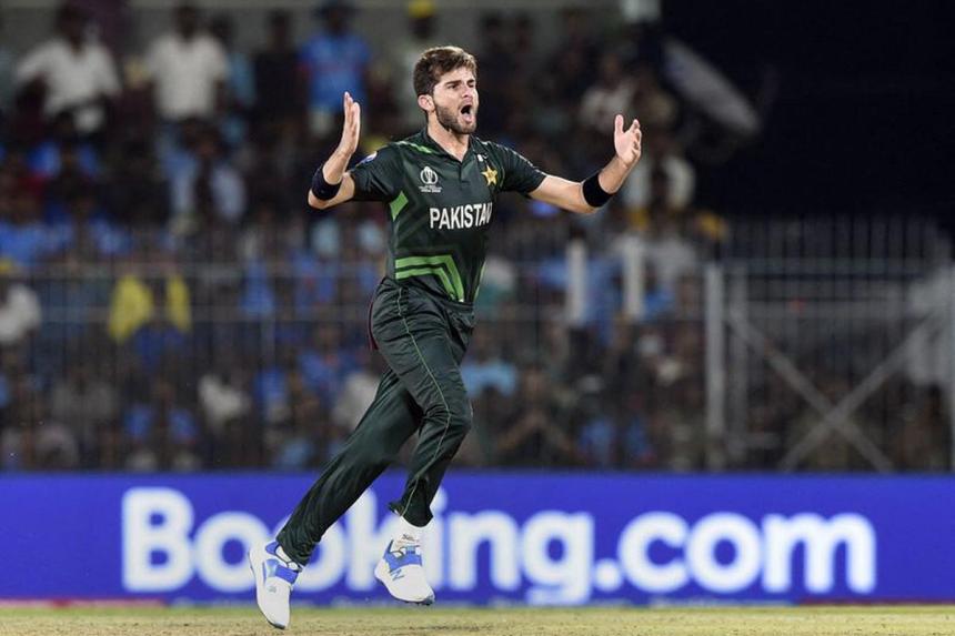 New Zealand sour Shaheen Afridi's captaincy debut in Auckland | The ...