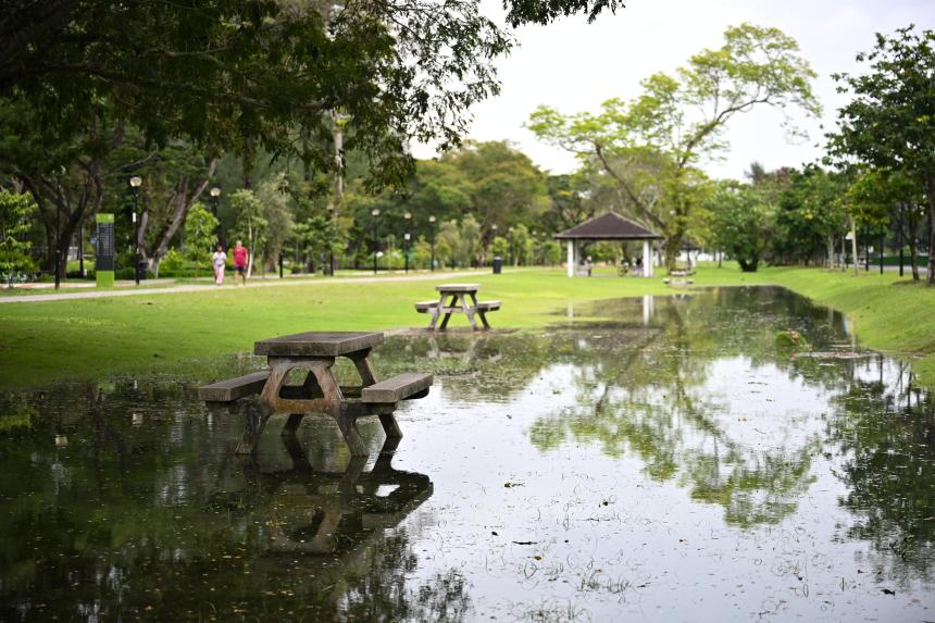 Seasonal high tides flood Pulau Ubin, stretches along East Coast Park over the weekend | The ...