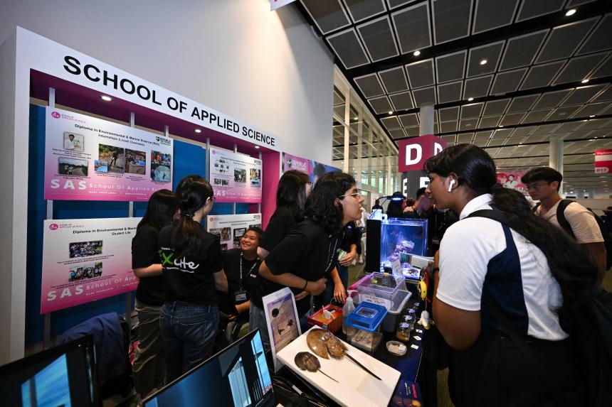 Why polytechnics continue to draw in over 20,000 students a year | The ...