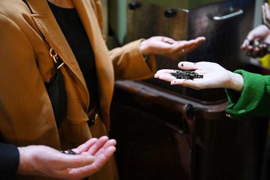 Programme to close food waste loop to be rolled out at five Frasers ...