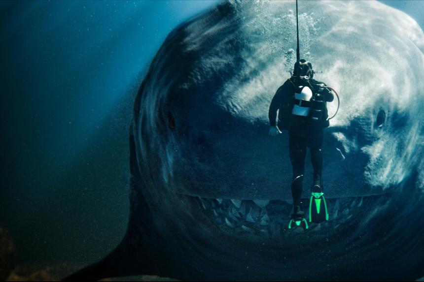 ‘The Meg’ shark was actually quite thin, scientists say | The Straits Times