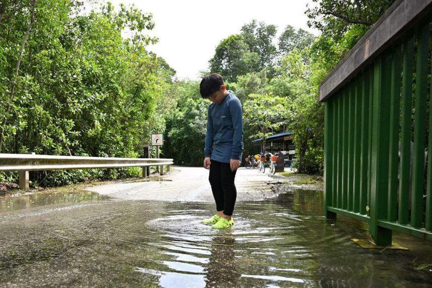 Seasonal high tides flood Pulau Ubin, stretches along East Coast Park over the weekend | The ...