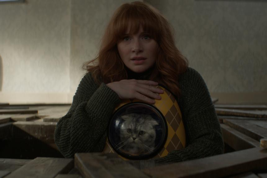 Nepo kitty: Director Matthew Vaughn cast his cat in Argylle, who ...