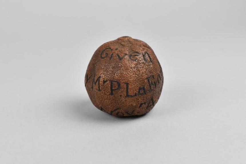 Sour power: 285-year-old lemon found in 19th-century chest auctioned in ...