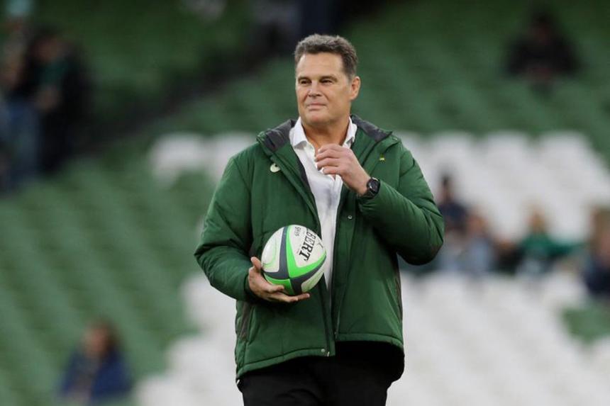 Erasmus back as Springbok coach, Flannery and Brown added to technical ...