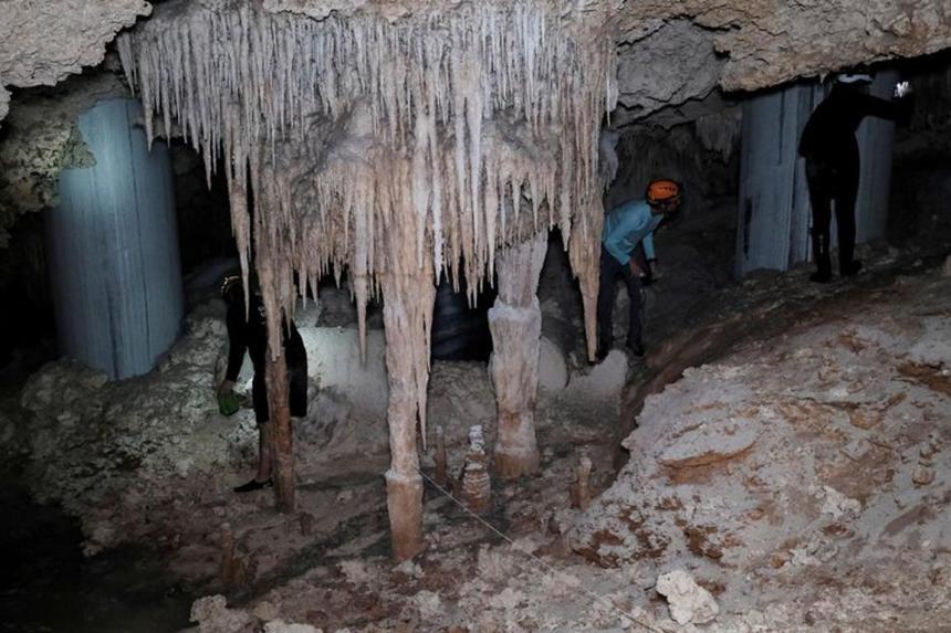 Environmentalist surveying Mexico's Maya Train warns of damage to ...