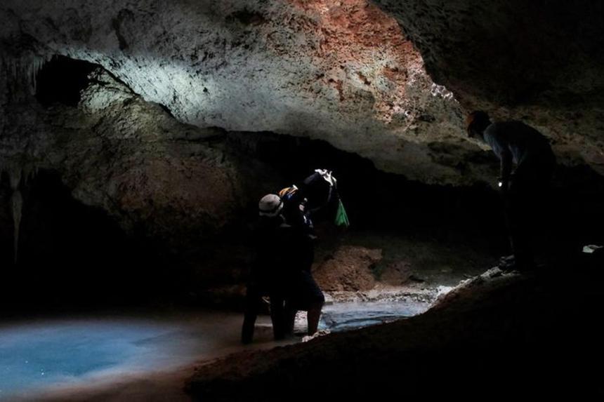 Environmentalist surveying Mexico's Maya Train warns of damage to ...