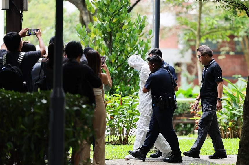 Man who allegedly murdered his neighbour in Bukit Batok remanded for ...