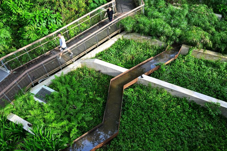 16 projects get NParks certification for landscaping efforts to green ...