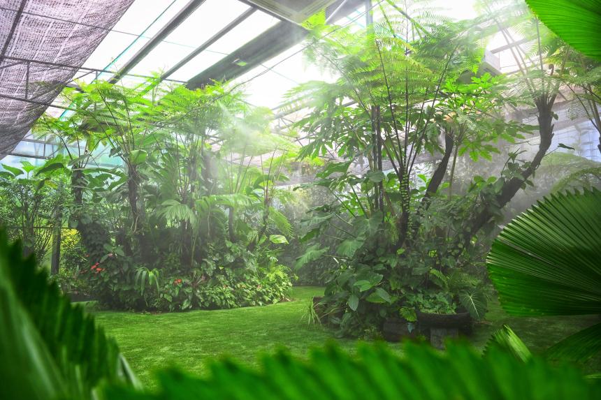 16 projects get NParks certification for landscaping efforts to green ...