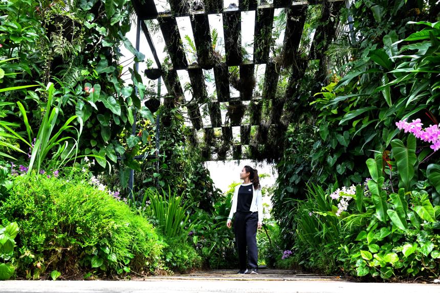 16 projects get NParks certification for landscaping efforts to green ...