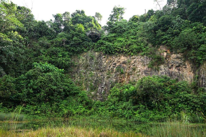 16 projects get NParks certification for landscaping efforts to green ...