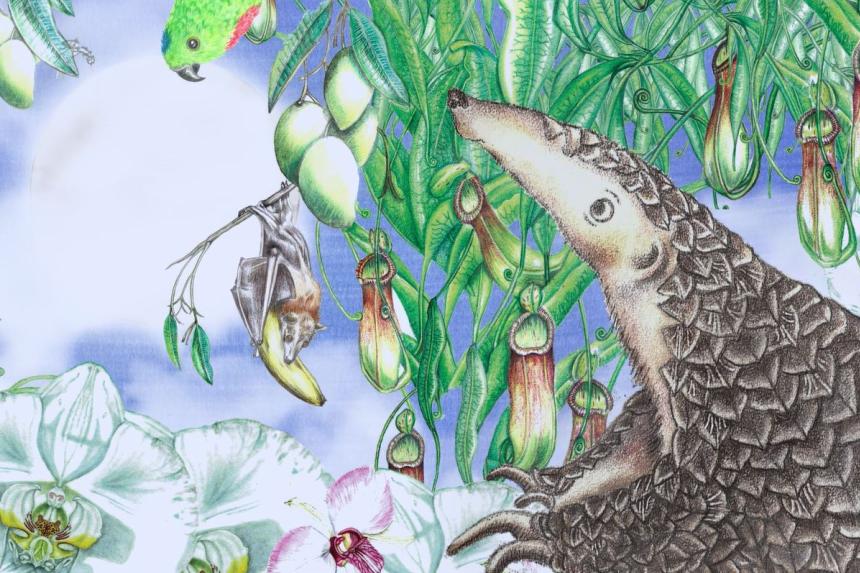 World Pangolin Day: Animated video for kids spotlights world’s most ...