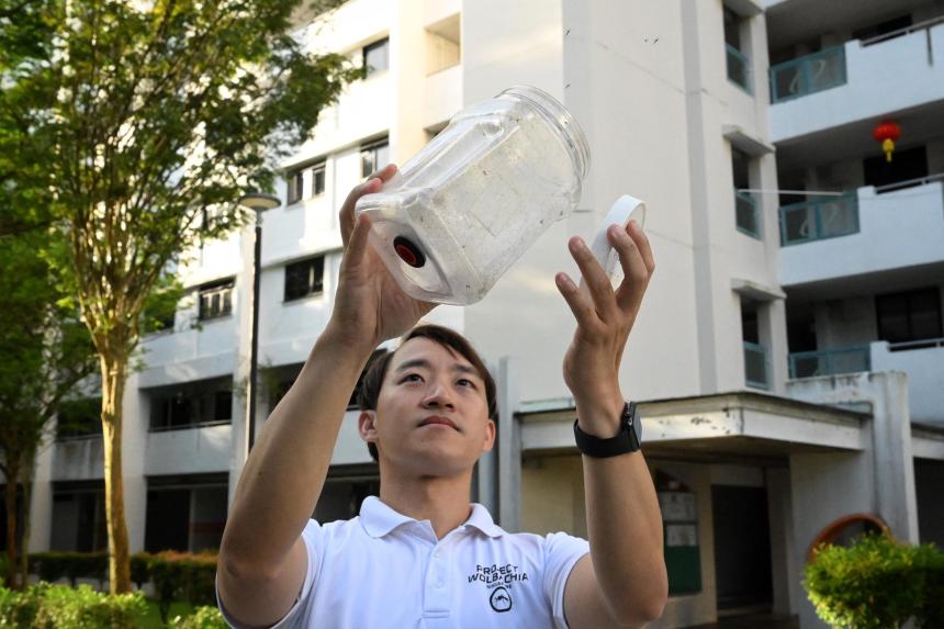 Project Wolbachia expands to five more areas to reduce Aedes mosquito ...