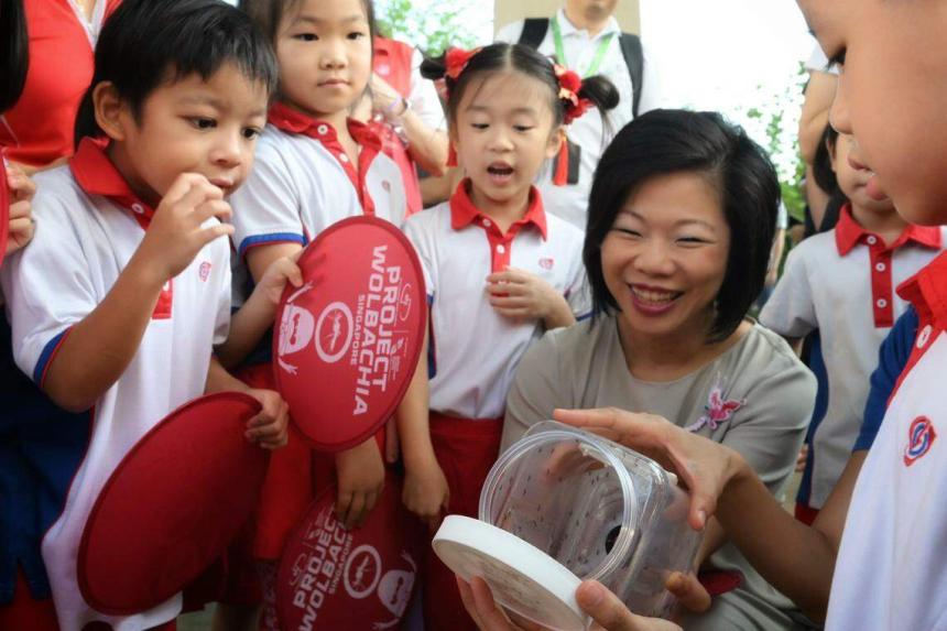 Project Wolbachia expands to five more areas to reduce Aedes mosquito ...