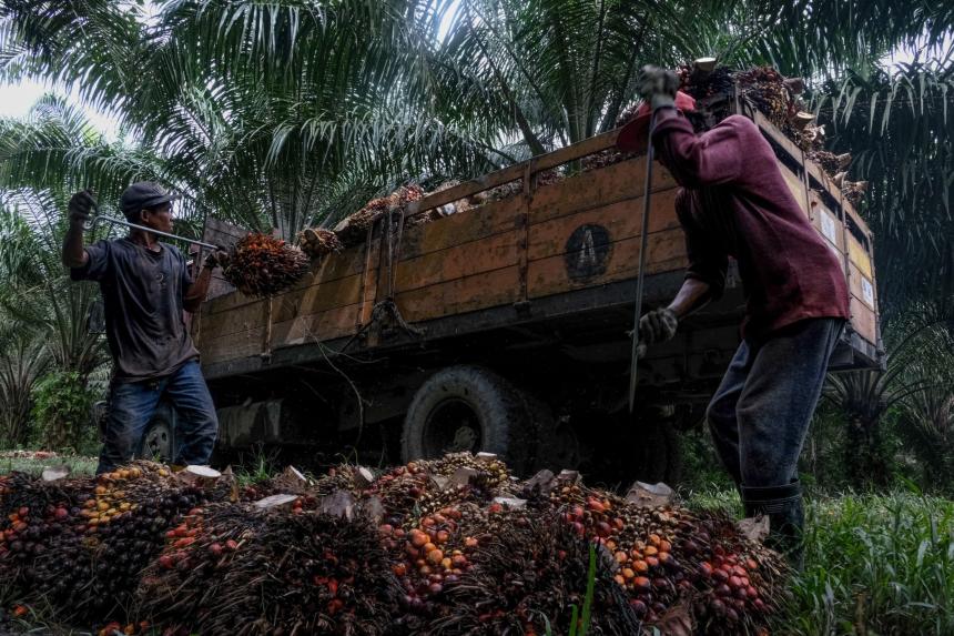 Malaysia to monitor changes in EU curbs on palm biofuel after WTO ...