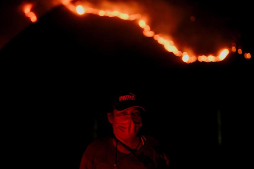 Forest fires spread in Mexico, at least four dead | The Straits Times
