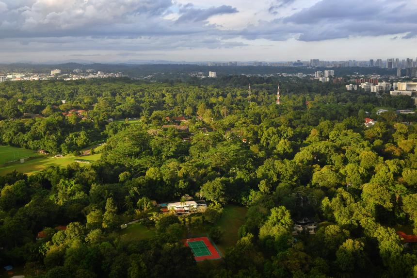 Details on framework to help emitters cope with carbon tax could take a ...