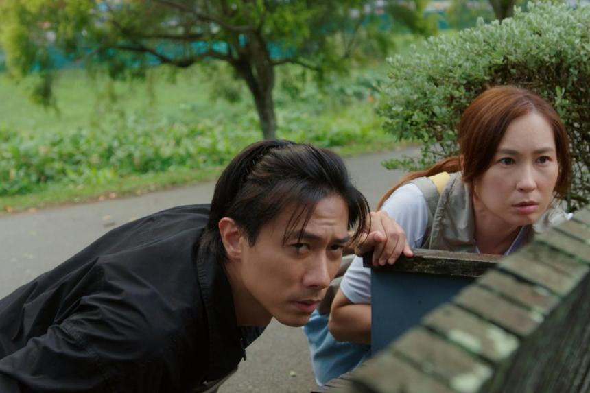 Actor Desmond Tan says his two dogs are good ‘big brothers’ to his ...