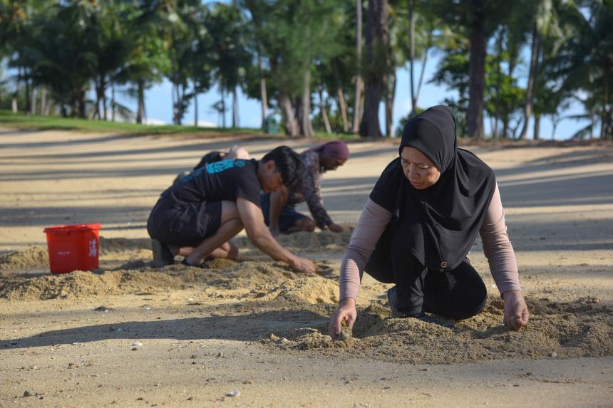 The edible city: Singapore’s urban and island foragers find food in the ...
