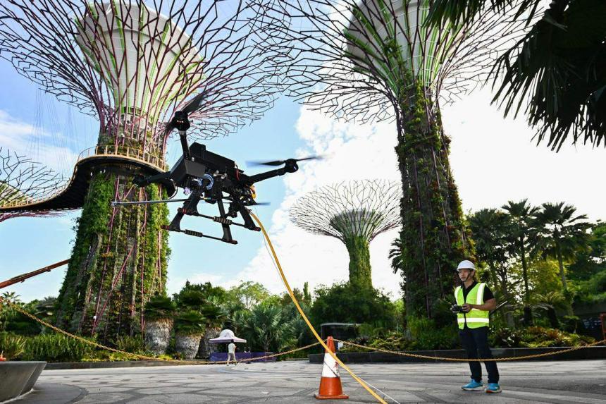 Drones clean the Supertrees, water and fertilise plants at Gardens by ...