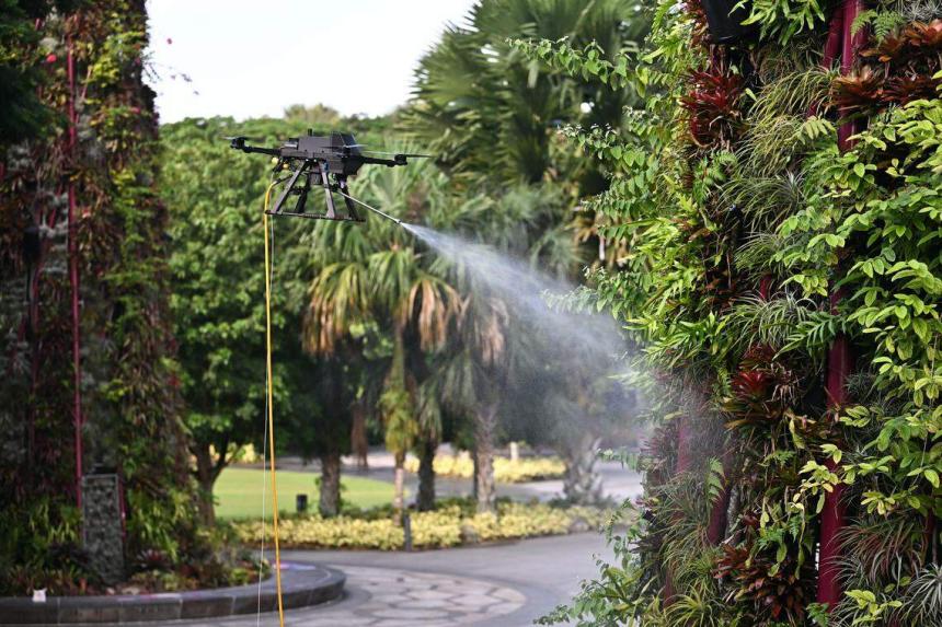 Drones clean the Supertrees, water and fertilise plants at Gardens by ...