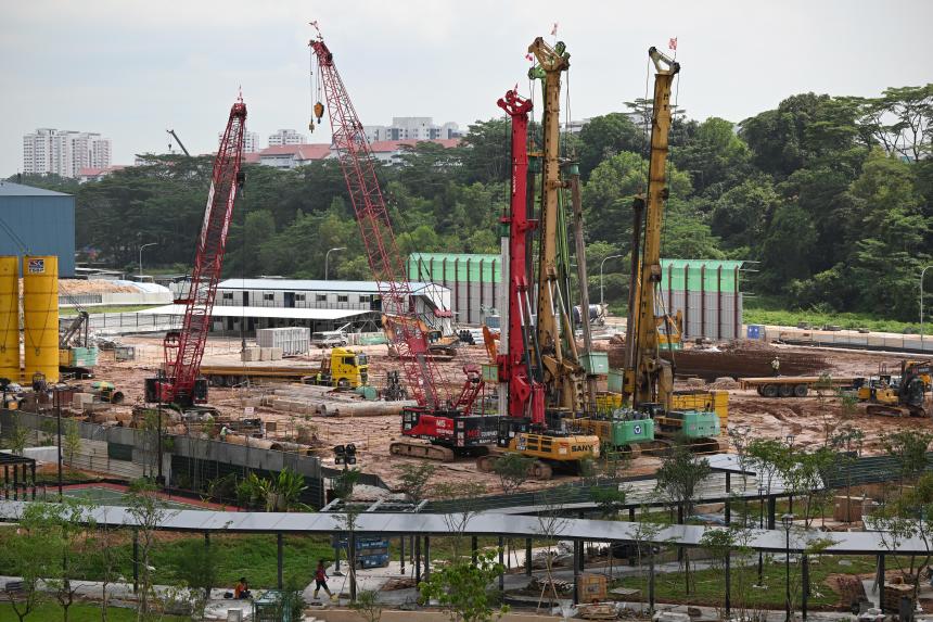 Springleaf, Tengah among potential hot spots for birds crashing into ...