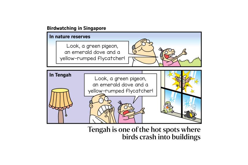A Cartoonist’s View: Lee Chee Chew, April 18, 2024 | The Straits Times