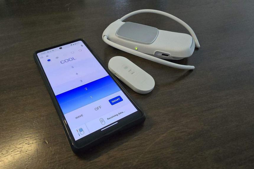 Portable fan, icy bottles and a $249 Sony cooling wearable: Which will ...