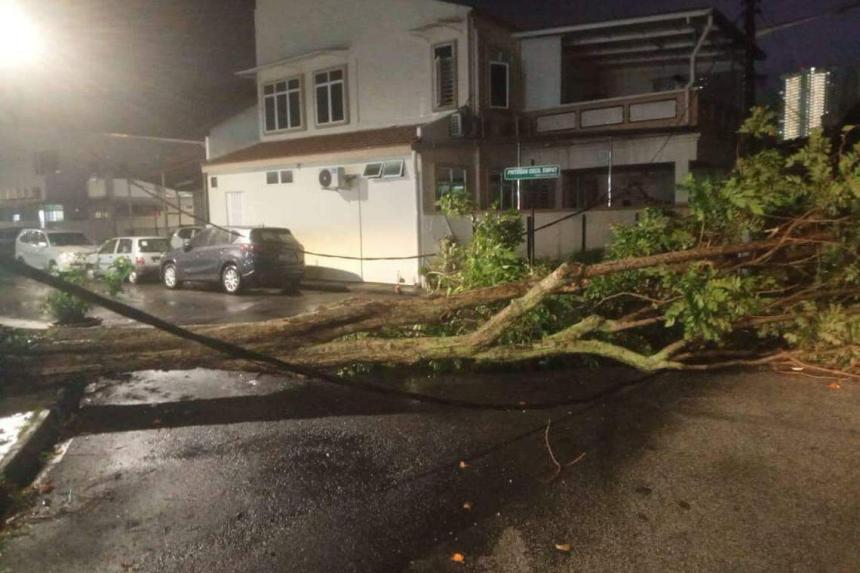 Uprooted tree falls on monorail track and busy road in downtown KL ...