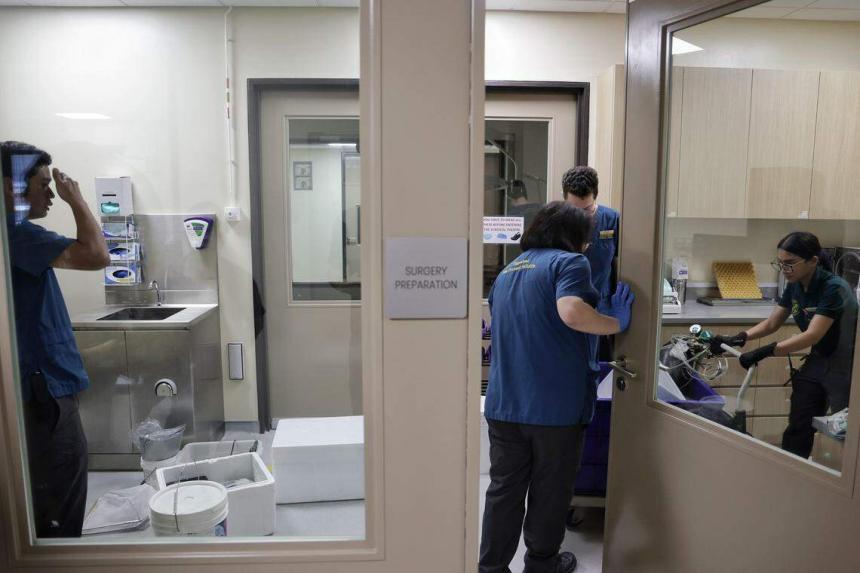 Mandai Wildlife Group conducts its first CT scan on a fish | The ...